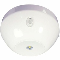 Hochiki N68-O-3 Addressable Emergency Lighting Luminaire