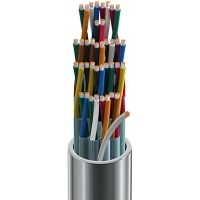 Belden 8769 0601000 22/19 Audio, Control and Instrument Pair Cable, TC ...