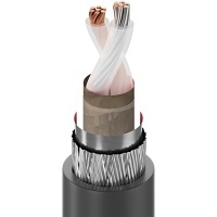 Belden 9207 0101000 20/1 Twinax 100 Ohms Cable, Str-1c TC/1c BC ...